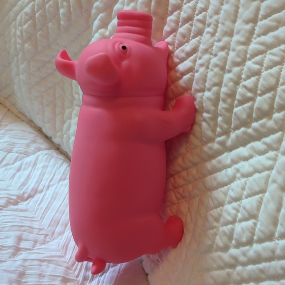 Animolds | Other | Squeaking Pig | Poshmark